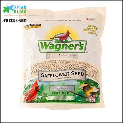 Bird Seed Types: 8 Must-Have Options That Wild Birds Can't Resist!