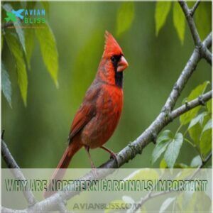 Are Cardinals Endangered? Dive Into Their Status & Conservation