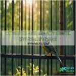 Why Does the Caged Bird Sing? Discover Maya Angelou's Insight