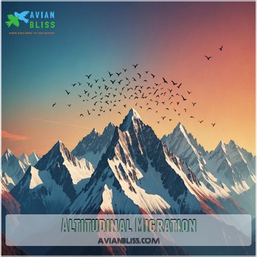 Bird Behavior Migration Patterns: Nature's Sky-High Mystery Revealed