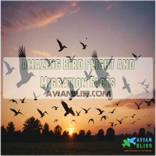 Bird Facts for Beginners: Start Your Birding Adventure Today!