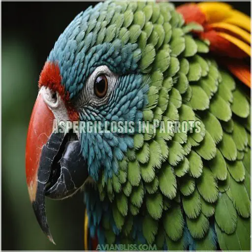 Parrot Respiratory Problems: Causes, Symptoms, and Treatment