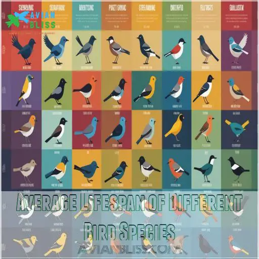 Bird Facts About Their Lifespan: Surprising Longevity Secrets Revealed!