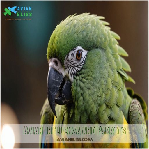 Parrot Respiratory Problems: Causes, Symptoms, and Treatment