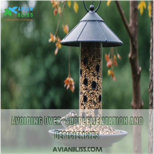 Bird Food for Breeding Season: Top Nutrition Tips and Choices