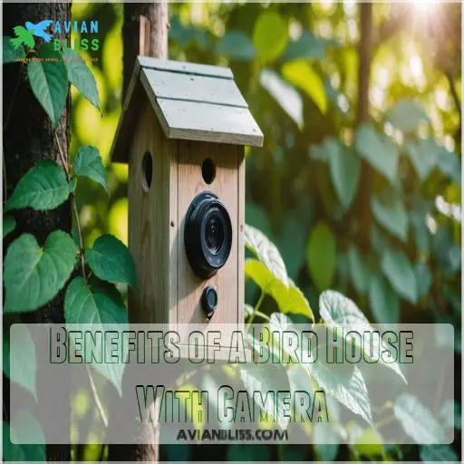 Bird House With Camera: Enhance Bird Watching in Your Backyard