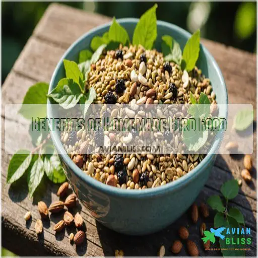 Homemade Bird Food Recipes: Easy Tips for Happy Backyard Birds