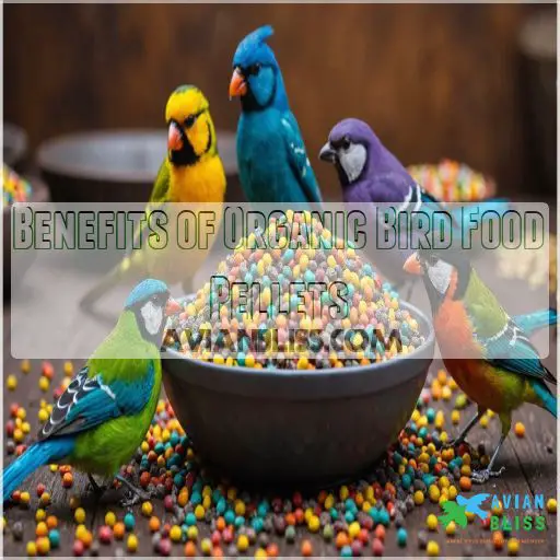 Organic Bird Food Pellets: Top 6 Picks for Healthier, Happier Feathered ...
