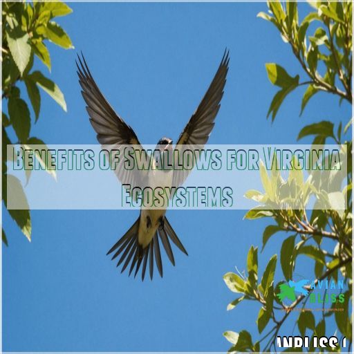 Swallows in Virginia: Top Species & Habitats to Know