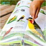 Bird Identification Guide for Kids: Fun Birding Tips & Tricks