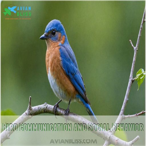 Bird Facts for Beginners: Start Your Birding Adventure Today!