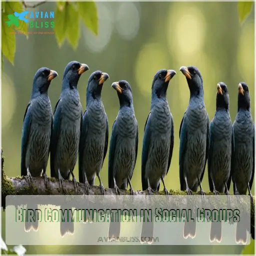 Bird Behavior Communication Methods: How Birds Interact Daily