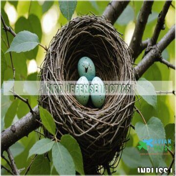 Bird Behavior: Seasonal Changes & Migration Secrets