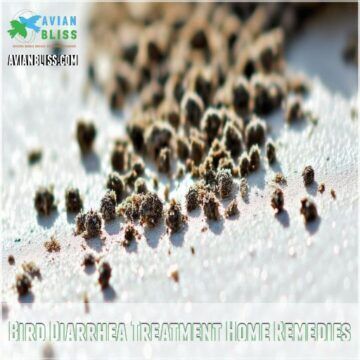 Bird Diarrhea Treatment Home Remedies: Natural Tips & Care