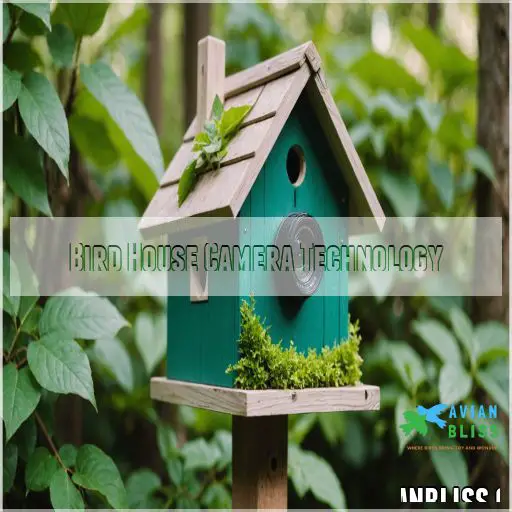 Bird House With Camera: Enhance Bird Watching in Your Backyard