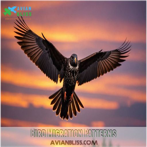 Bird Facts About Their Migration Patterns: Incredible Journeys