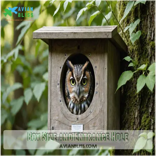 Bird House for Owls: Attract Feathered Hunters to Your Backyard Today!
