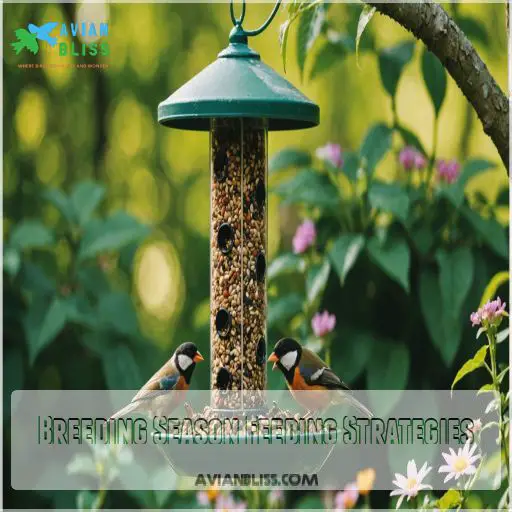 Bird Food for Breeding Season: Top Nutrition Tips and Choices