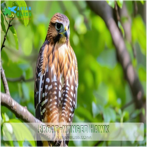 Ohio Birds of Prey: 25+ Amazing Raptors You Can Spot Today (2024 Guide)