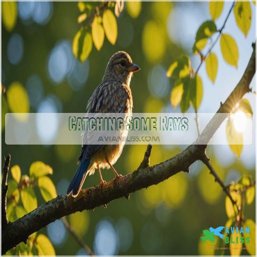 Fascinating Bird Behaviors: 2024's Avian Wonders