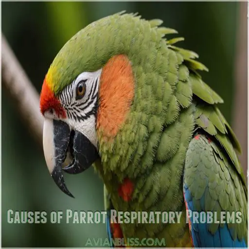 Parrot Respiratory Problems: Causes, Symptoms, and Treatment