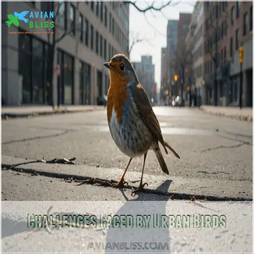 Bird Habitats in Urban Environments: a City's Feathered Friends