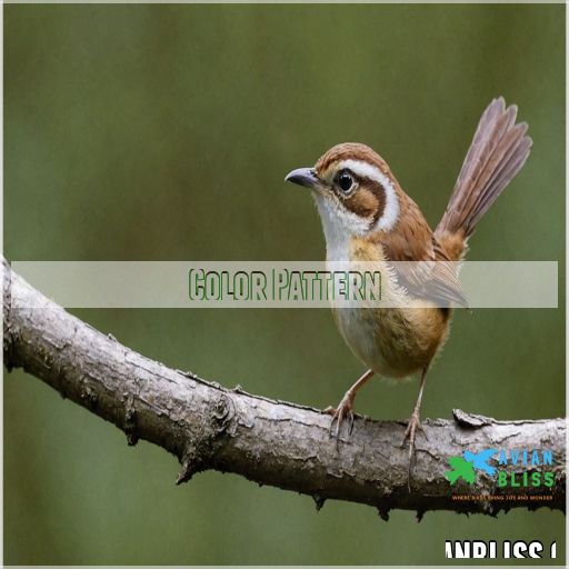 Small Birds in California: ID & Attract Birds to Your Yard