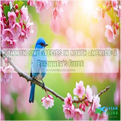 Common Bird Species in North America: a Beginner's Guide