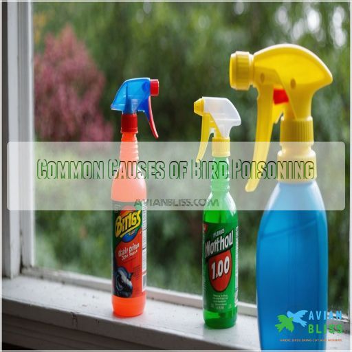 Bird Poisoning Symptoms Treatment: Protect Your Feathered Friends