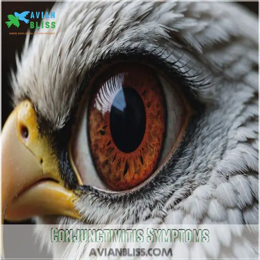 Bird Eye Infection Treatment: Signs, Causes, and Solutions