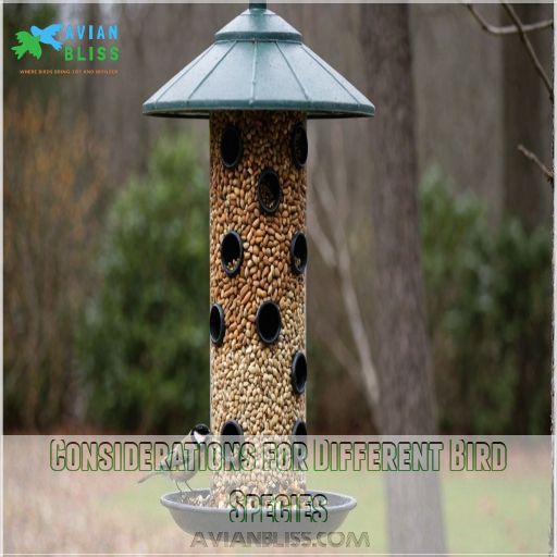 Organic Bird Seed Mix: Boost Backyard Birds' Health With Nature's Best ...
