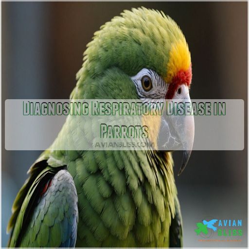 Parrot Respiratory Problems: Causes, Symptoms, and Treatment