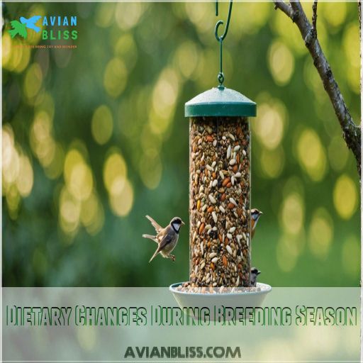Bird Food for Breeding Season: Top Nutrition Tips and Choices