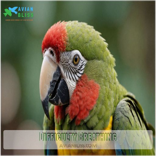 Parrot Respiratory Problems: Causes, Symptoms, and Treatment