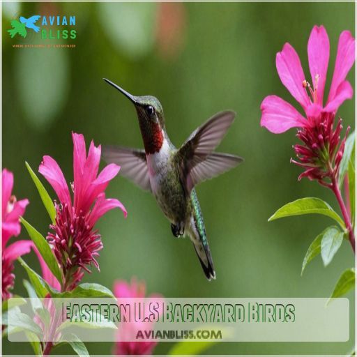 Common Bird Species Identification: a Handy Guide for All Birders