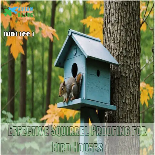 Squirrel Proof Bird House Tips: Keep Intruders Away!