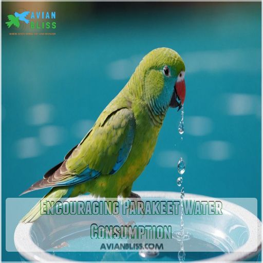 Parakeet Water Needs Explained: Tips for Keeping Them Hydrated