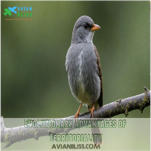 Bird Behavior Territorial Defense: Nature's Fierce Guardians Revealed