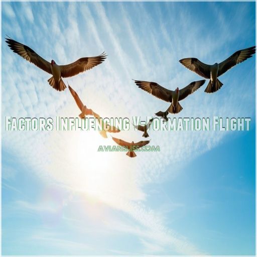 Why Do Birds Fly in a V Formation? The Fascinating Science Behind ...