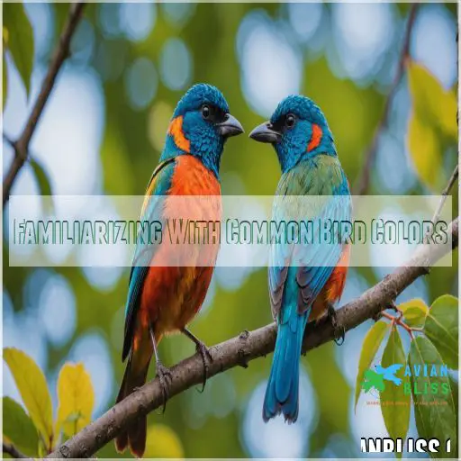 Identify Birds by Color: Simple Tips for Quick Bird ID