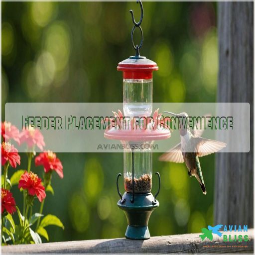 Where to Hang Hummingbird Feeder: 10 Surprising Spots for Buzzing Success
