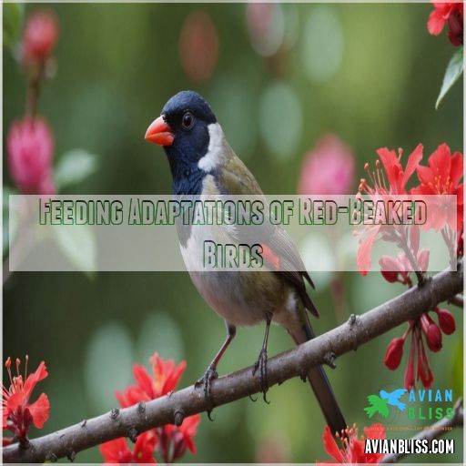 Birds With Red Beaks: 10 Stunning Species That'll Make Your Jaw Drop!