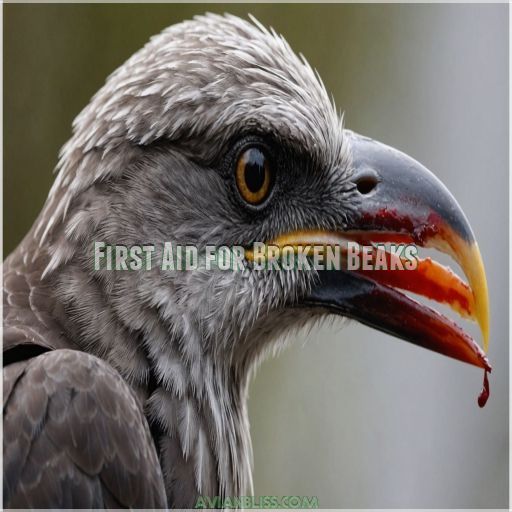 Bird Beak Injury Treatment: Essential Steps and Tips