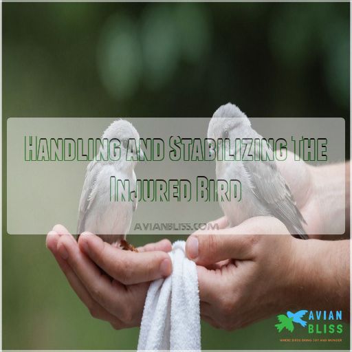 How to Treat Injured Bird Wing: Expert Tips for Quick, Safe Recovery