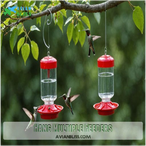 How to Attract Hummingbirds to a New Feeder: 10 Essential Tips