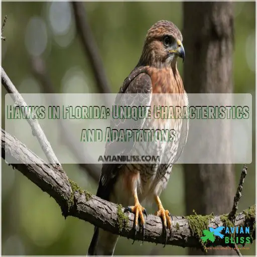 Hawks in Florida: Guide to Spotting These Magnificent Birds