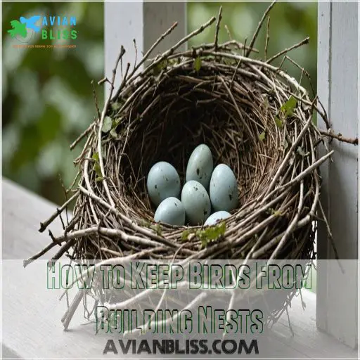 Bird Facts About Nests: 10 Amazing Secrets That Will Blow Your Mind