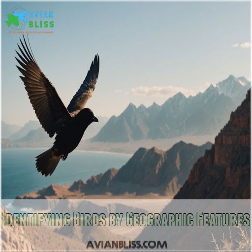 Bird Identification by Location: Guide to Spotting Nearby Birds