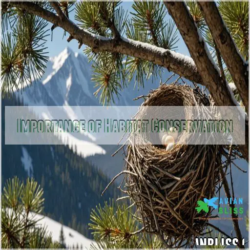 Bird Habitats in The Rocky Mountains: 10 Stunning Homes for Feathered ...