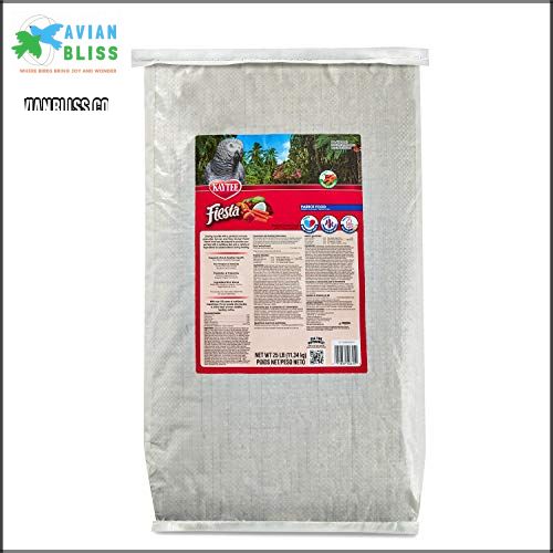 10 Best Bird Foods for Parrots + What to Feed & Avoid (2026)